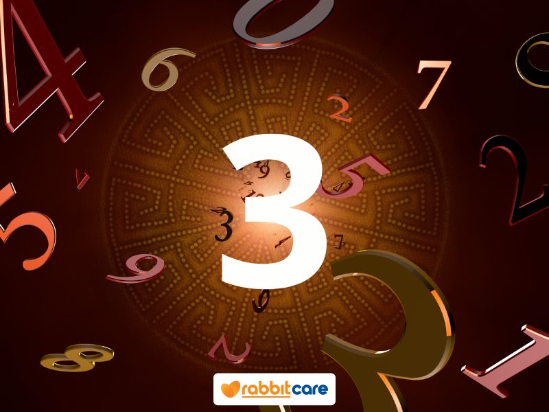 Tra cứu thần số học và ý nghĩa với số mệnh của bạn | Rabbit Care